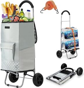 Ultimate Campus Companion: Foldable Shopping Trolley - cupchemistry by ...
